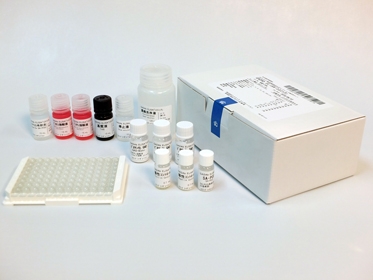 GADAb ELISA「コスミック」 | コスミックコーポレーション